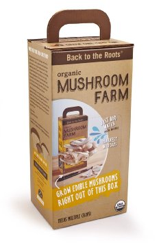 让宝宝在家里养动物植物 - 美国儿童science project推荐 | 美国妈妈网